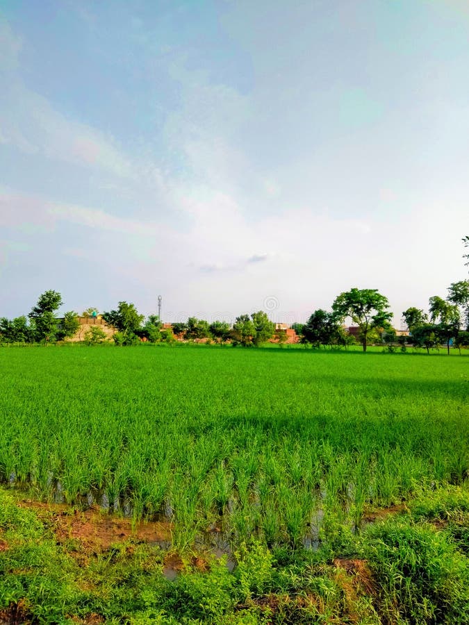 247 Nature Senery Stock Photos - Free & Royalty-Free Stock Photos from ...