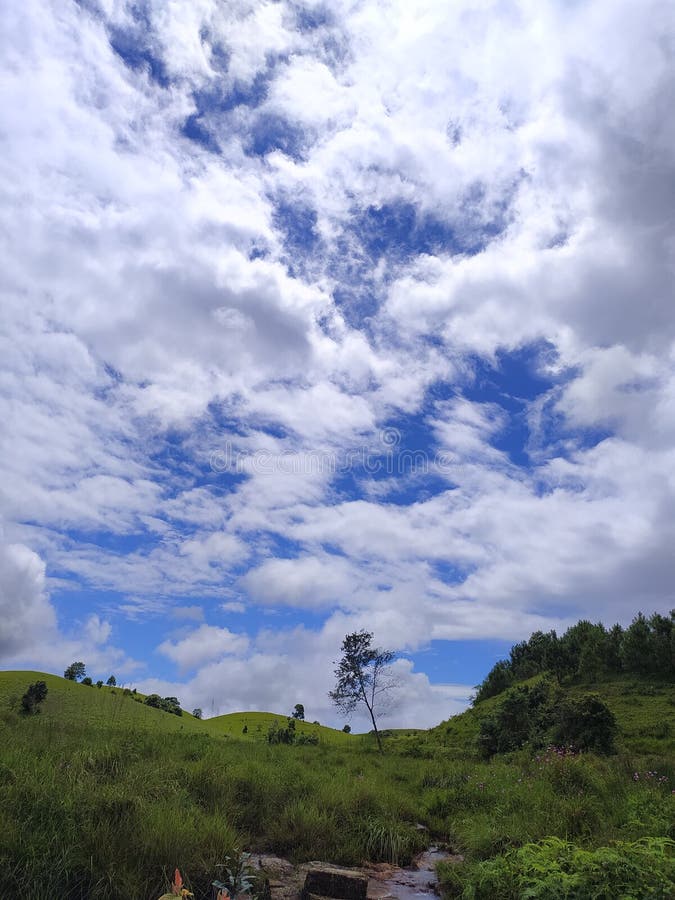 Nature. Beautiful View Up To the Sky with Beautiful Cloud Stock Photo ...