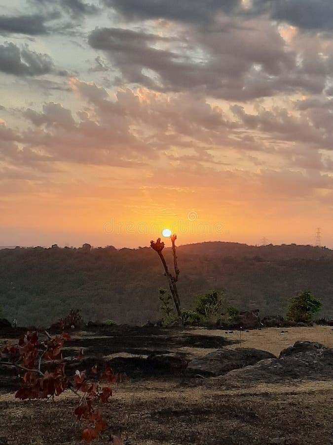 Sunset in India stock photo. Image of conservation, forest - 29905462