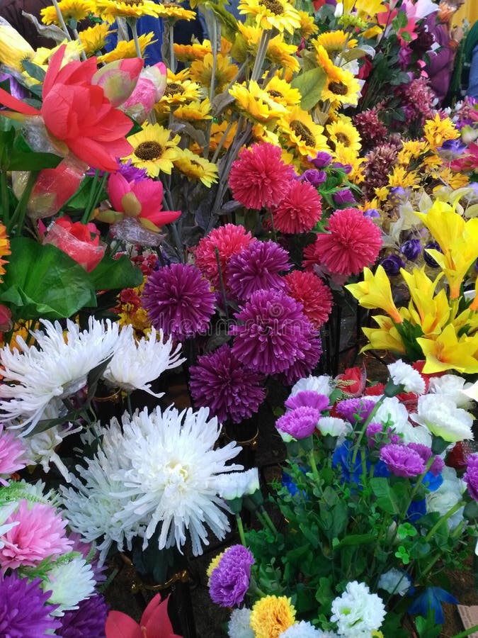 Real Flowers 2 stock image. Image of real, flower, beauty - 120988193