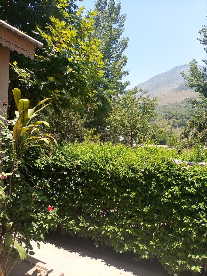 Nature, Beauty Mountains Trees Greenery Stock Image - Image of greenery ...