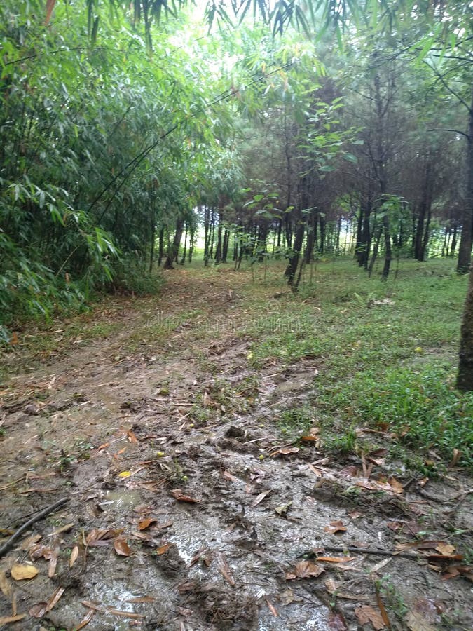 Nature beauty stock photo. Image of create, nature, almighty - 135521778