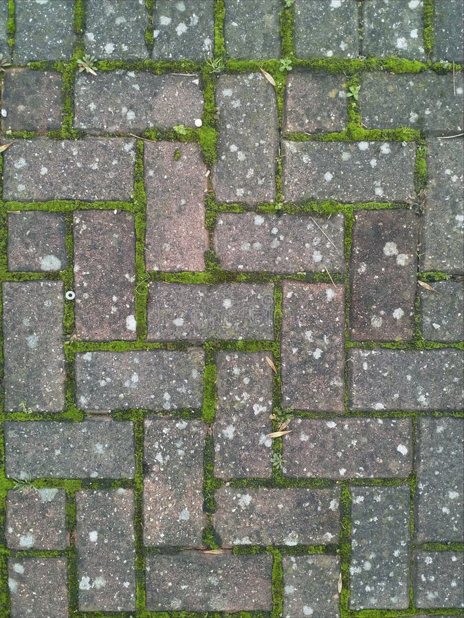 Nature beauty on tiles stock image. Image of beauty - 134285505