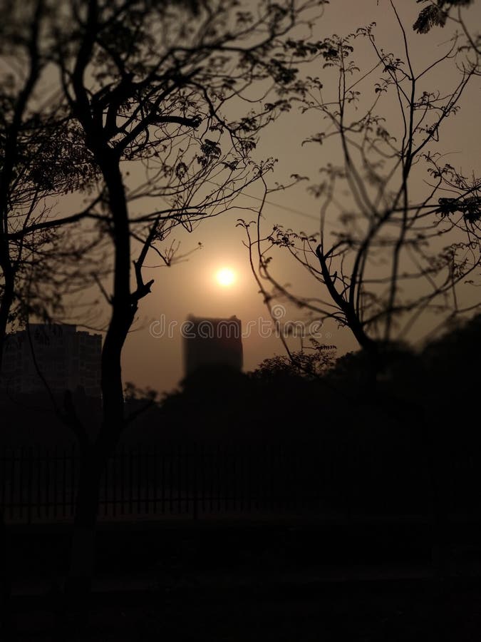 Sun over the tree stock image. Image of nature, tree - 110178781