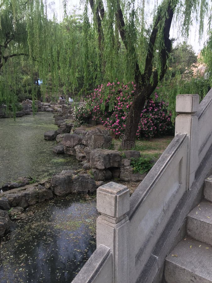 China park stock photo. Image of beijing, green, nature - 179779796