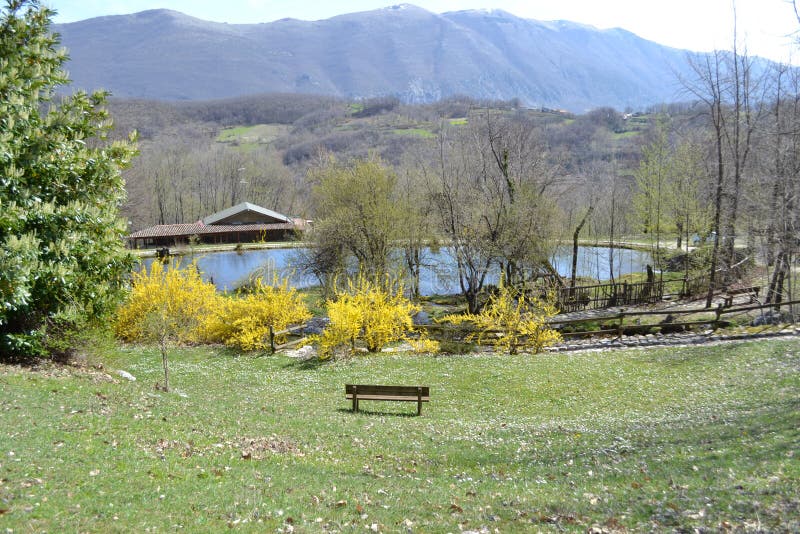 Nature and Bench in the Park Stock Photo - Image of green, mountain ...