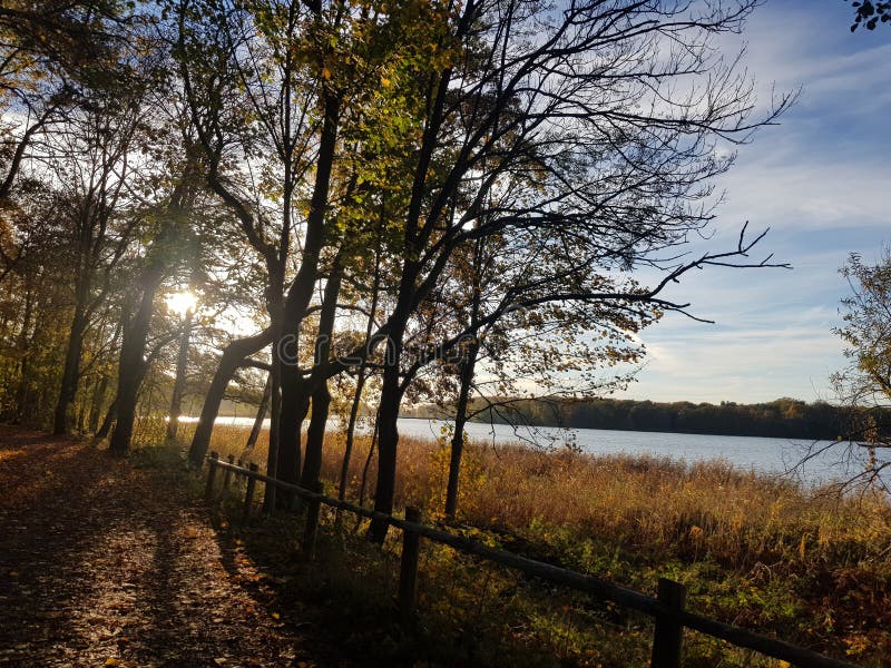 Nature in Berlin stock photo. Image of sunset, morning - 202371186