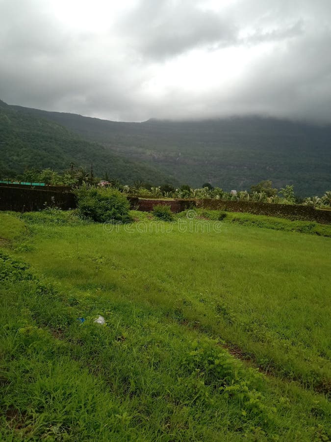 Nature Beutiful and Original Swlf Creation Stock Photo - Image of ...