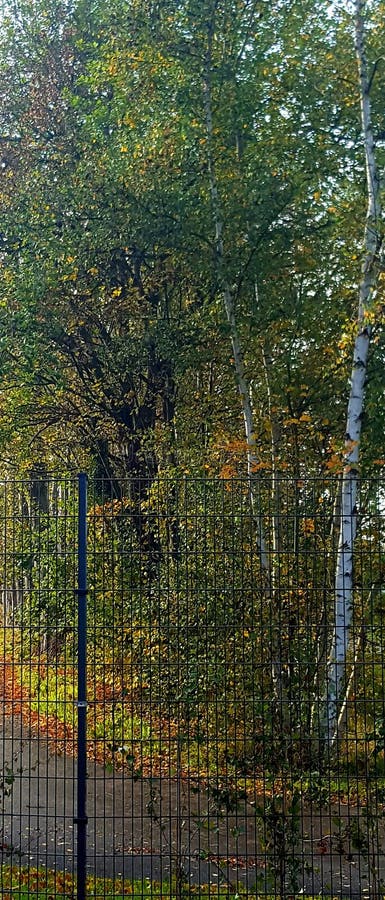 Bevind Stock Photos - Free & Royalty-Free Stock Photos from Dreamstime