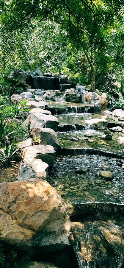 Nature bliss stock image. Image of nature, green, bliss - 190920059