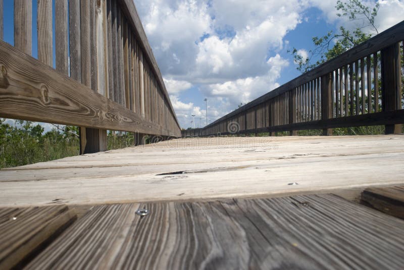 Board walk stock photo. Image of board, walk, trees - 136091118