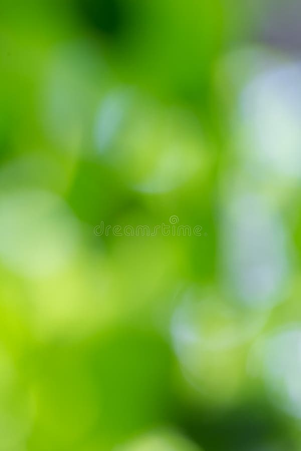 Nature bokeh background stock image. Image of glowing - 51581691