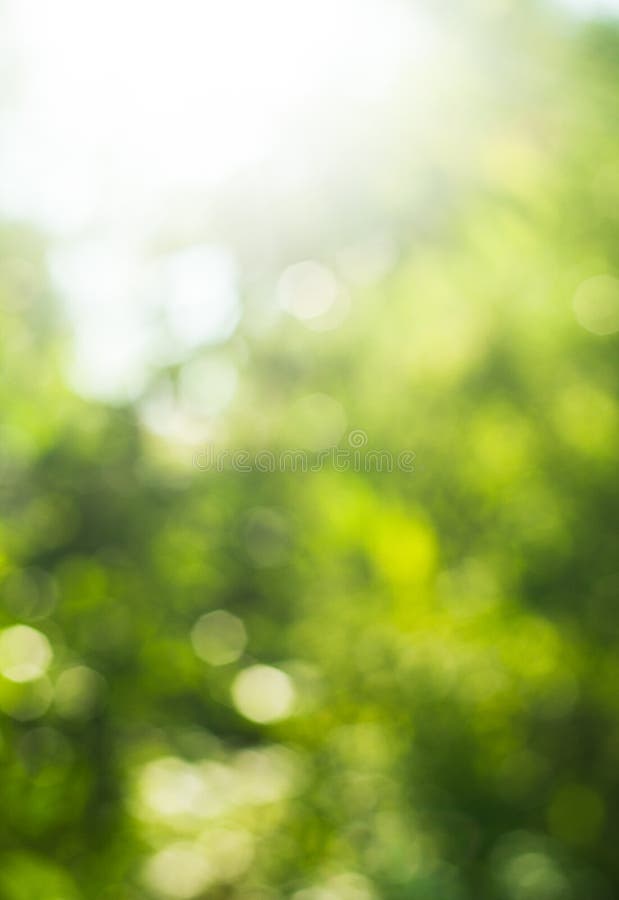 Nature bokeh stock photo. Image of sunbeam, abstract - 40898280