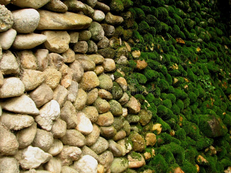 Nature-boundary Picture. Image: 4622858