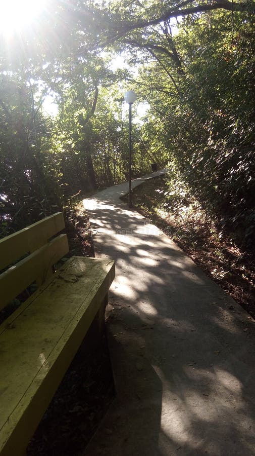 Nature and boundless river stock image. Image of river - 101192353