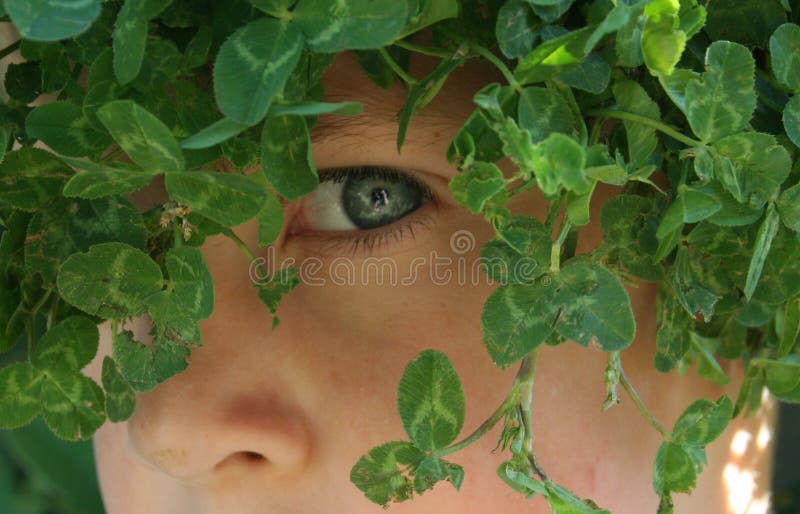 Nature Boy stock photo. Image of greenery, leaf, hiding - 2617202