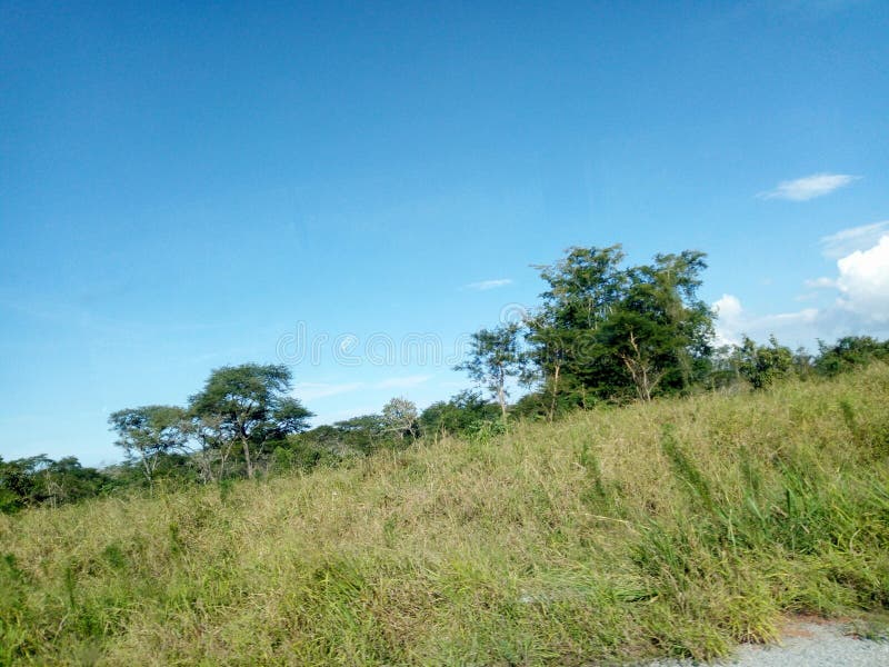 The Nature is Bright and Amizing More Than Anything in the World Stock ...