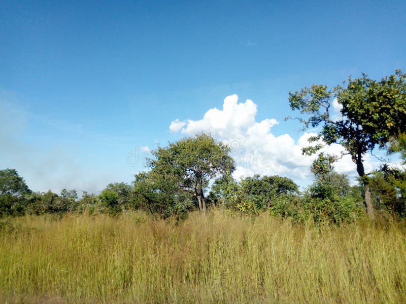 The NATURE is BRIGHT and AMIZING MORE THAN ANYTHING in the WORLD Stock ...