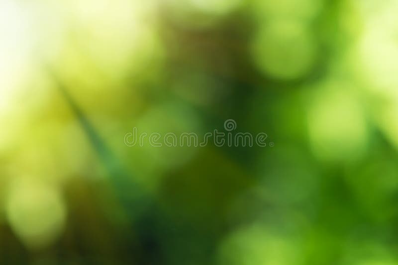 Nature Bright Summer Sunlight Background Stock Image - Image of light ...