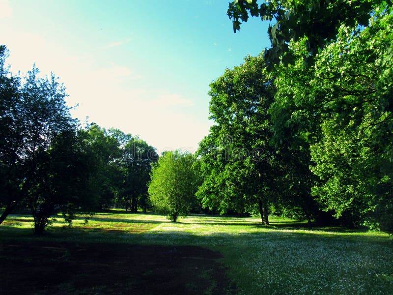 Nature stock image. Image of sense, world, nature, universe - 75884891