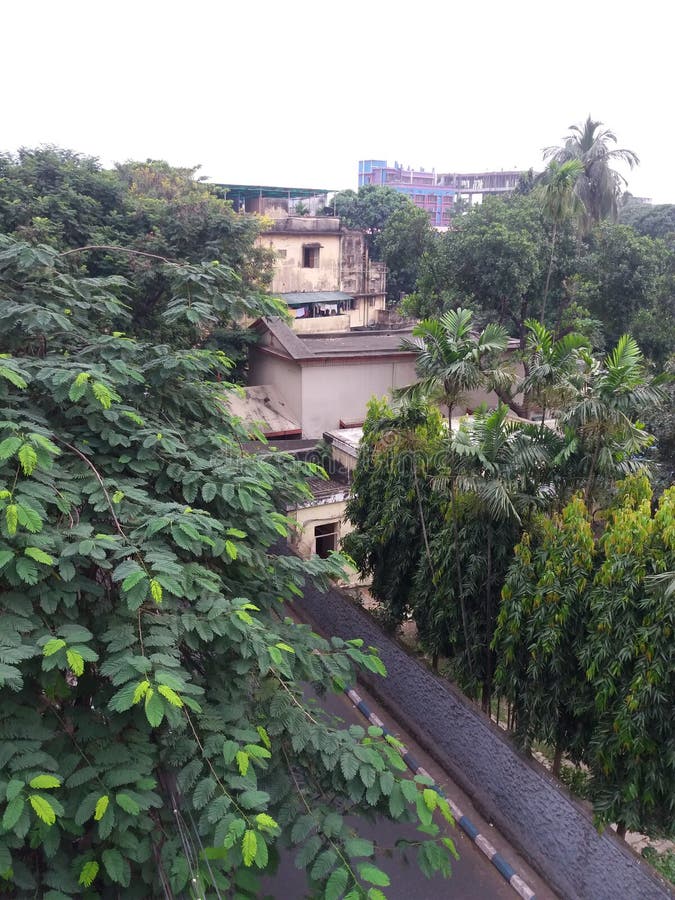 Nature and building stock photo. Image of tree, surrounding - 102858150