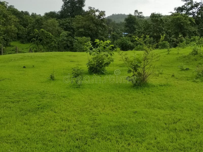 Nature calls stock photo. Image of calls, natural, monsoon - 126550896