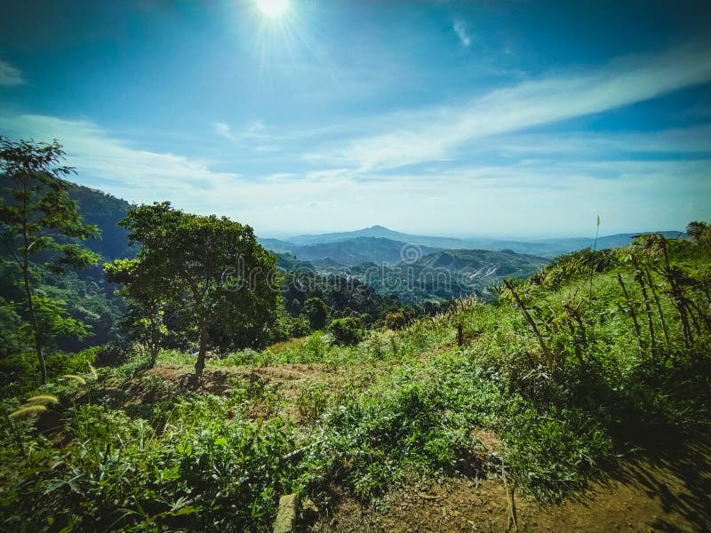 Nature Can Relieve Your Tiredness Stock Image - Image of grass, flower ...