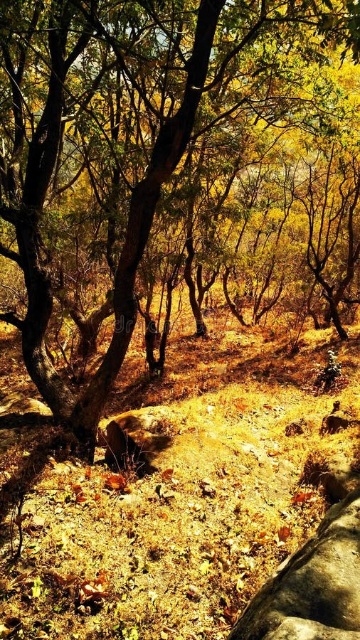 Nature Capture Vacation Evening Road Side Stock Image - Image of road ...