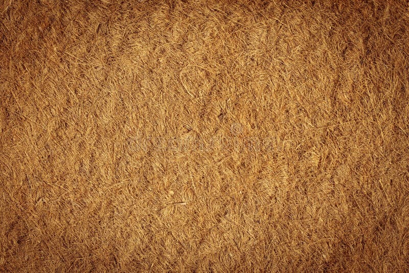 Coconut fiber texture stock photo. Image of fiber, backdrop - 20761996