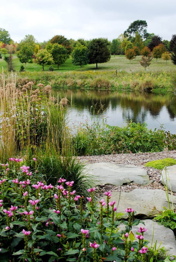 Nature Center stock photo. Image of foliage, pink, flowers - 21372004