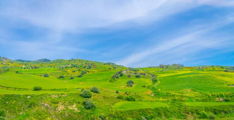 Nature in the Central Sicily, Italy Stock Image - Image of tree ...