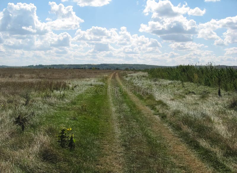 Nature of Central Ukraine in Summer. Fields and Woodland Stock Image ...