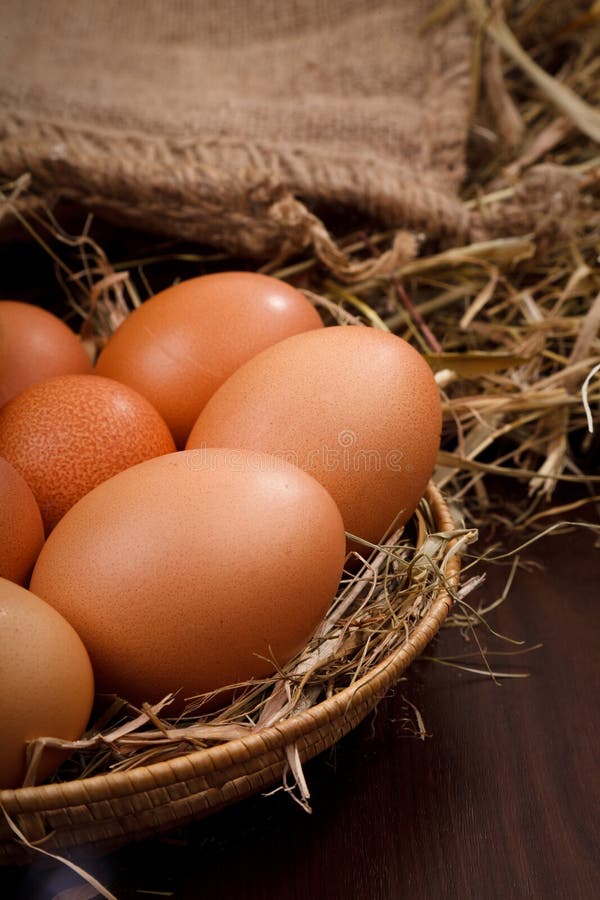 Nature chicken eggs stock image. Image of celebration - 114677357