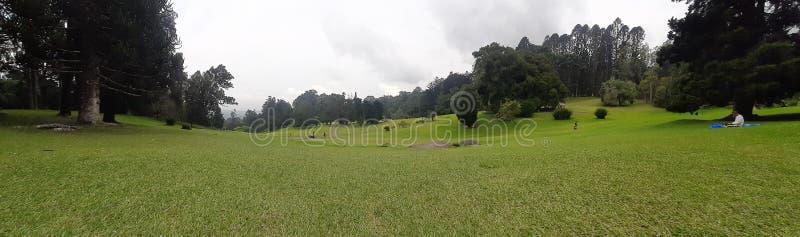 Nature of Cibodas stock photo. Image of hill, landscape - 263698488