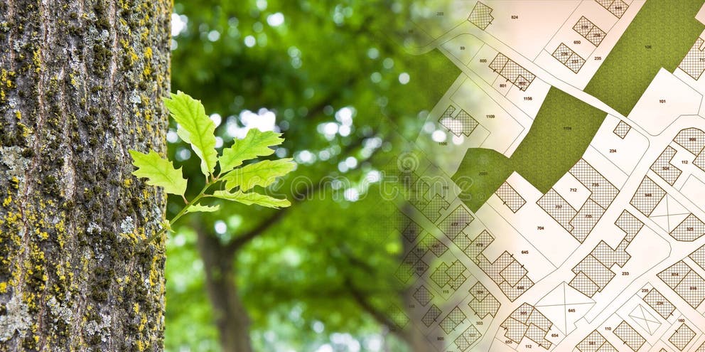 24,723 Park Map Lo Stock Photos - Free & Royalty-Free Stock Photos from ...