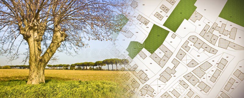 Nature and City - Concept with Lone Tree and Imaginary City Map Stock ...