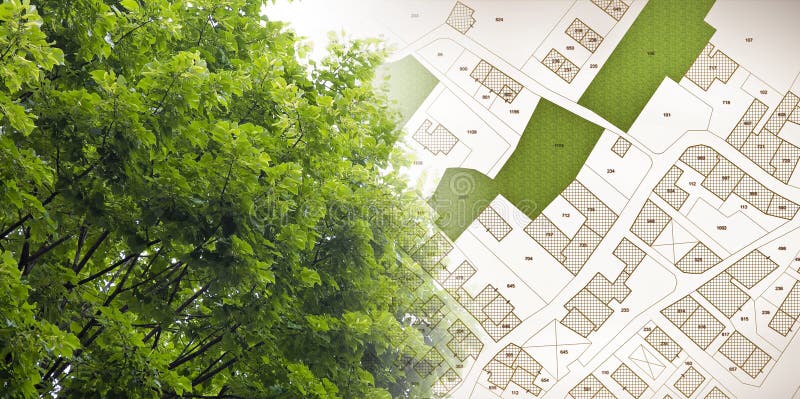 Nature and City - Concept with Lone Tree and Imaginary City Map Stock ...