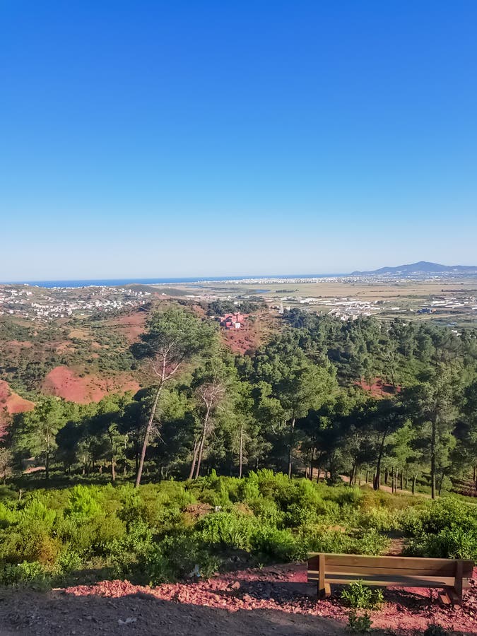 Nature in a city side stock photo. Image of scenery - 265528110