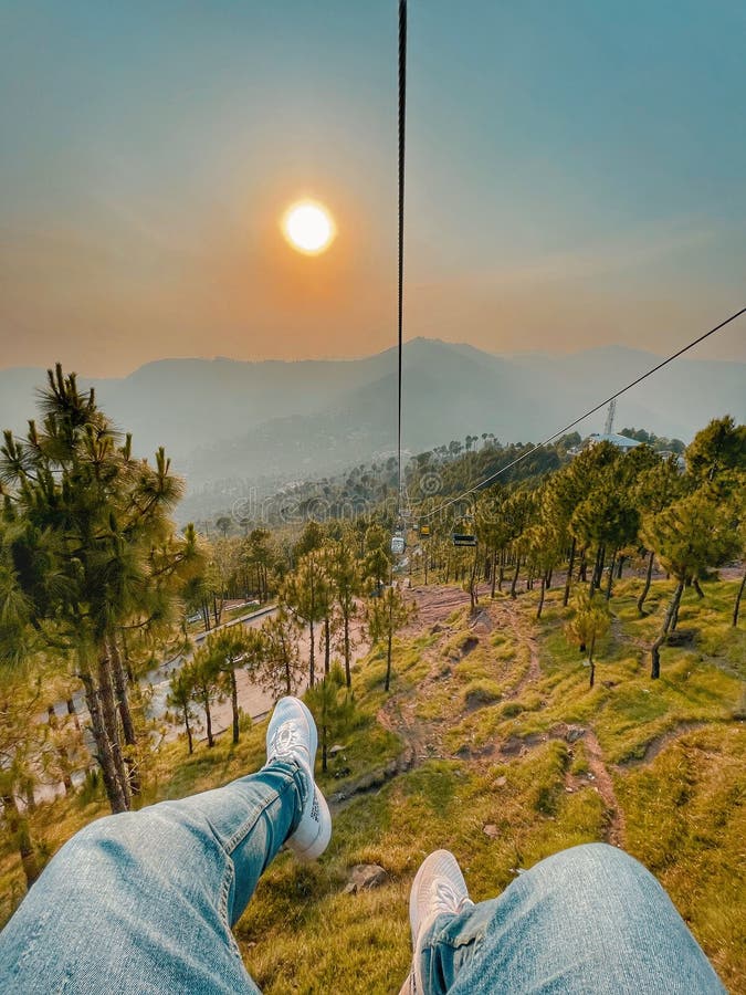 Nature click stock image. Image of enjoying, click, flying - 228242169