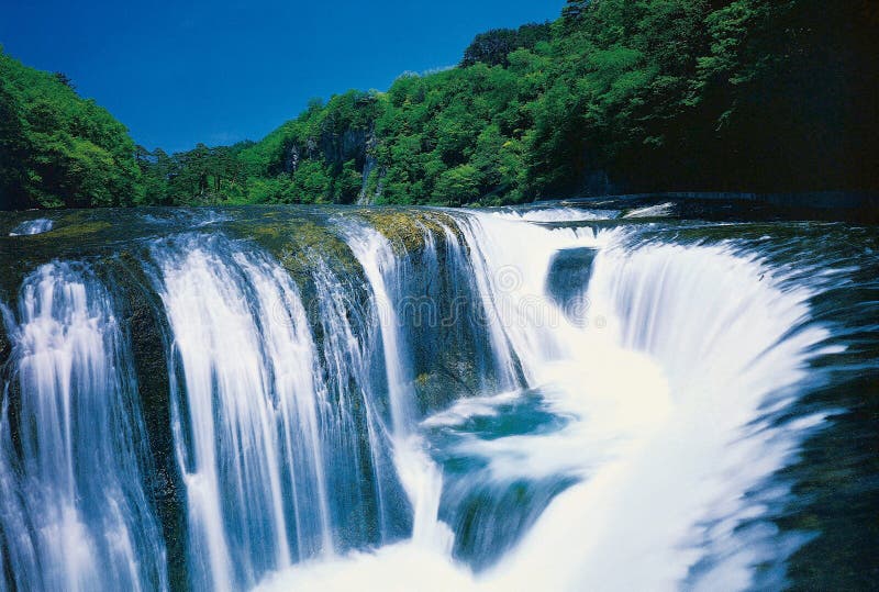 Nature stock photo. Image of froth, party, outdoors, clear - 81588744