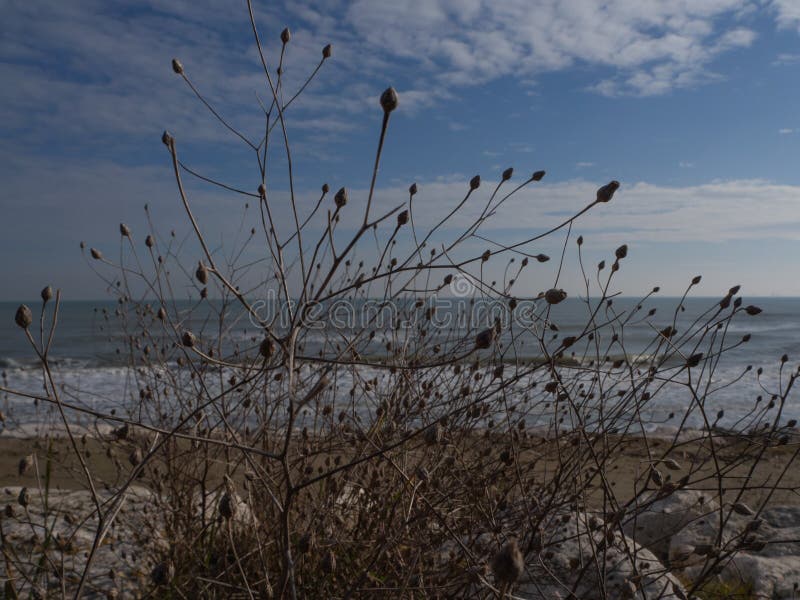 Nature on the coast stock photo. Image of cliff, flora - 180518040