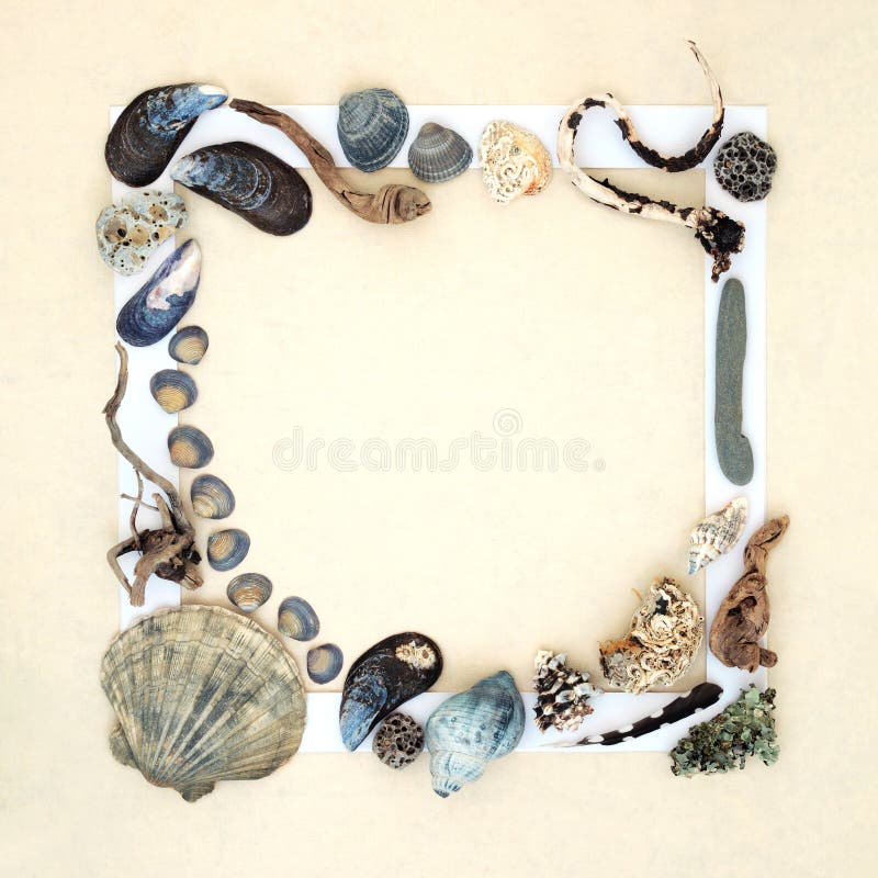 Nature Collage Background of Natural Objects Stock Image - Image of ...