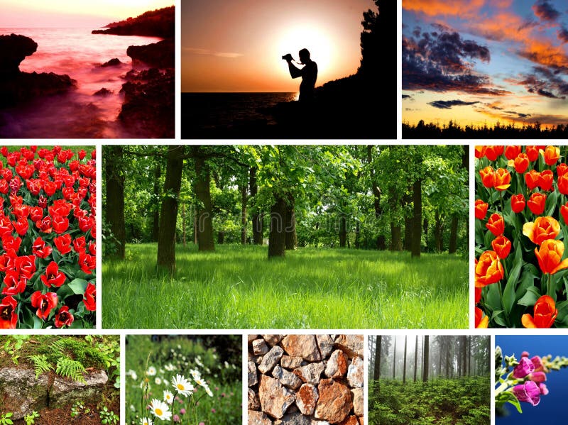 Nature collection stock image. Image of mist, dream, environment - 11187707