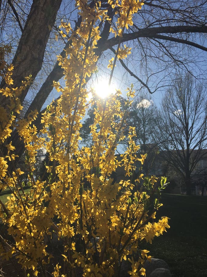 Nature color stock photo. Image of nature, color, live - 143460494