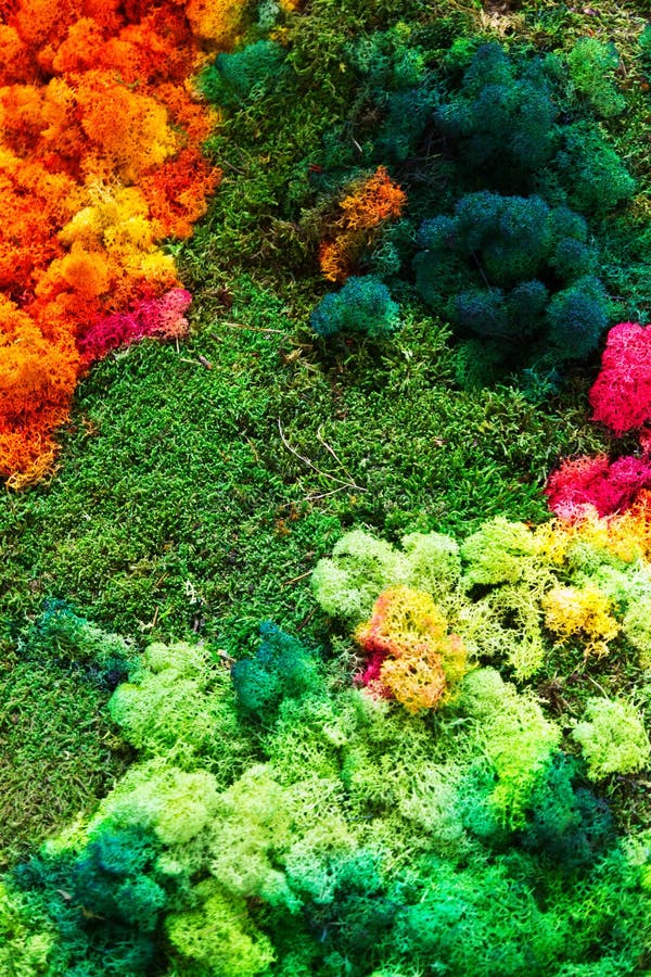 Nature colorful background stock image. Image of garden - 47157789