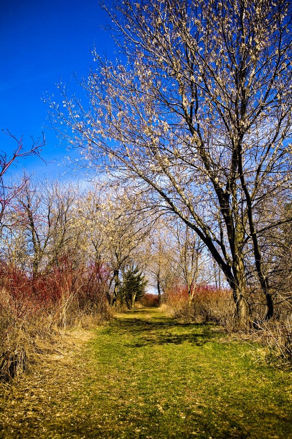 Nature and colors stock photo. Image of leaves, fall, peace - 9198706