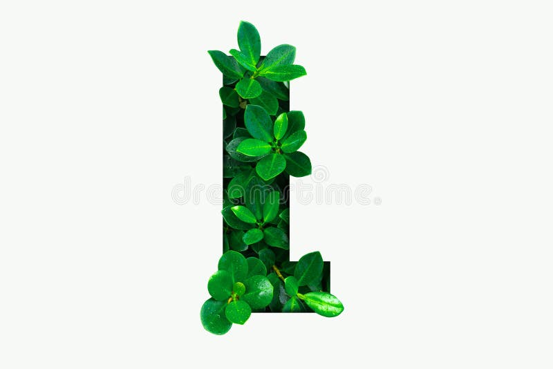 Nature Concept Alphabet of Green Leaves in Alphabet Letter L Stock ...