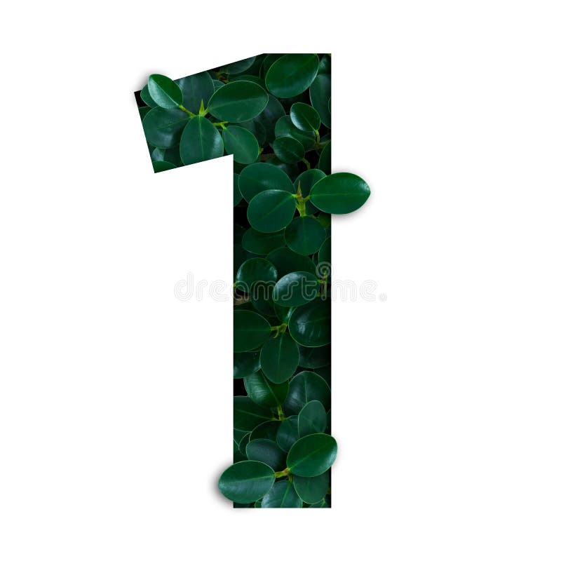 Nature Concept Alphabet of Green Leaves in Number One Stock Image ...