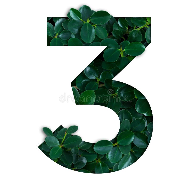Nature Concept Alphabet of Green Leaves in Number Three Stock Photo ...