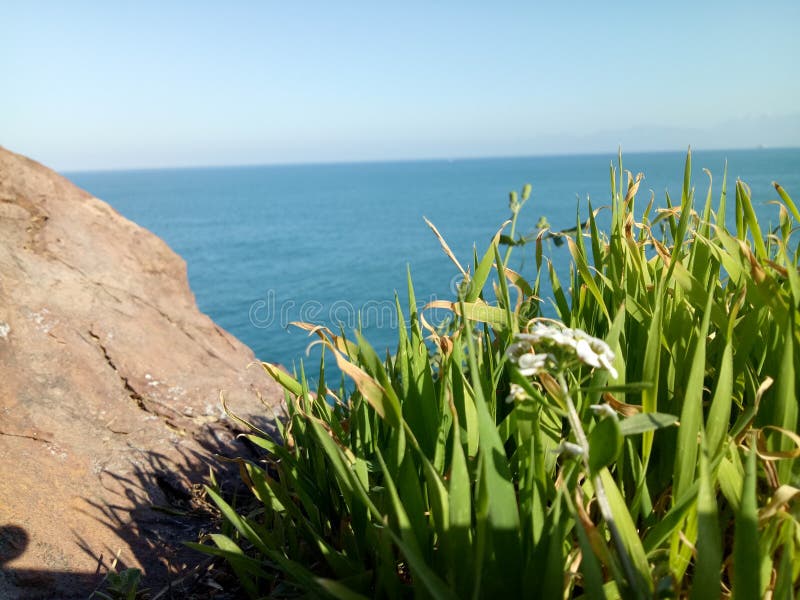 Nature stock photo. Image of ocean, algrien, coast, promontory - 88599720